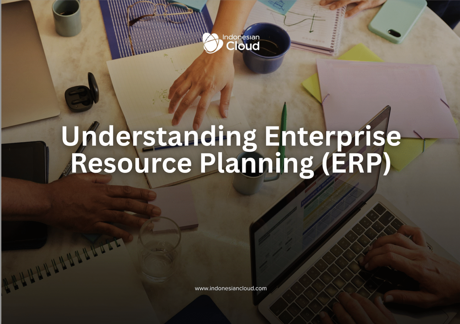 Understanding Enterprise Resource Planning (ERP)